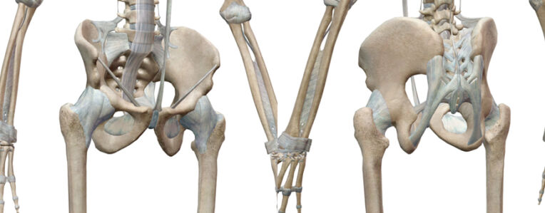 Rachide: cos’è e cosa comprende? | Project InVictus