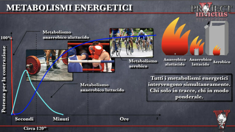 I 3 sistemi energetici: come funzionano - Project inVictus