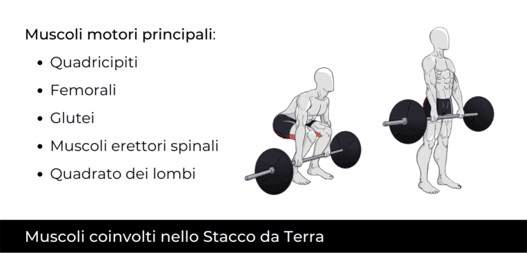 Stacchi da terra: tutorial ed esecuzione - Project inVictus