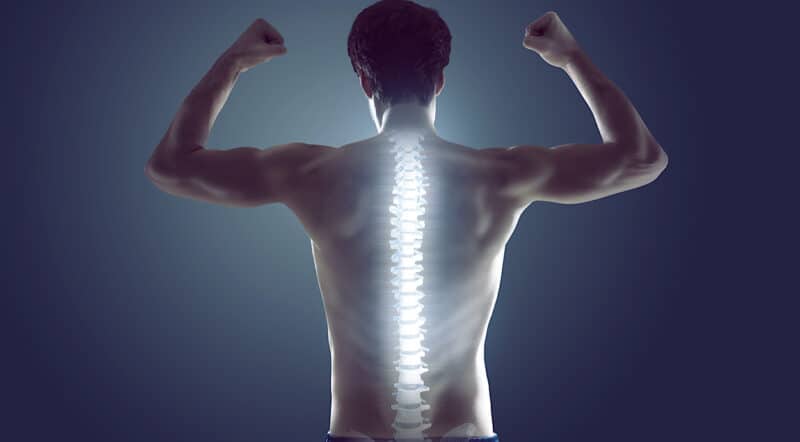Colonna vertebrale: anatomia e funzioni - Project inVictus