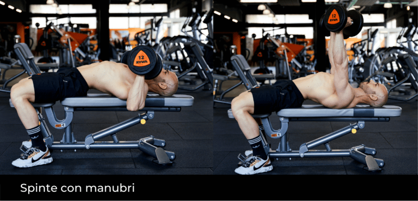 Tutorial Spinte con Manubri (Piana ed Inclinata) - Project inVictus