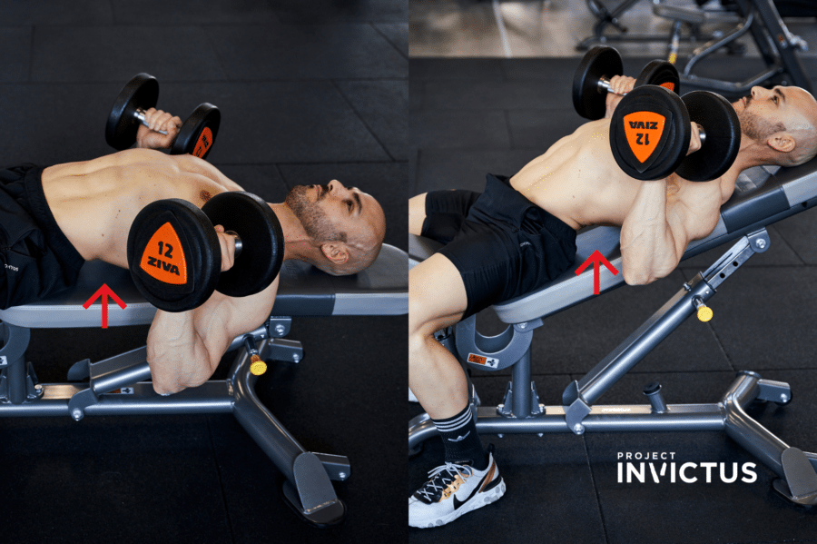 Spinte manubri su panca piana ed inclinata - Project inVictus