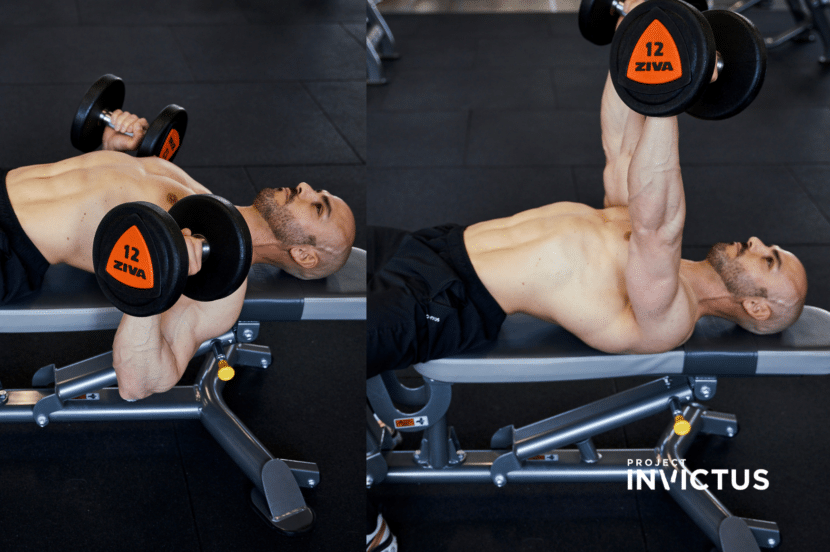 Spinte manubri su panca piana ed inclinata - Project inVictus