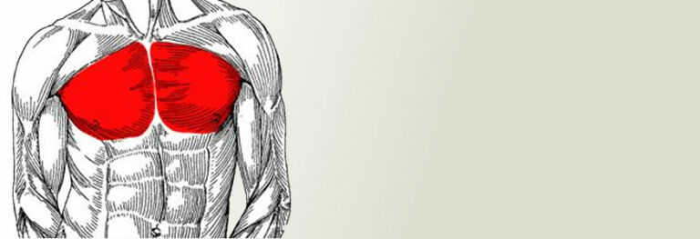 Tutorial Spinte con Manubri (Piana ed Inclinata) | Project inVictus