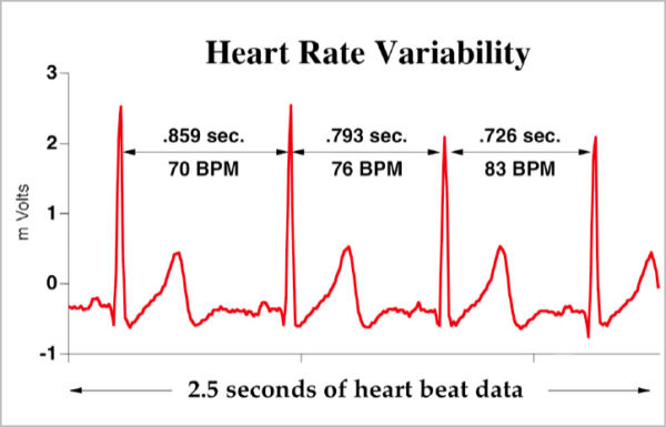 HRV Heart Rate Variability - Project inVictus