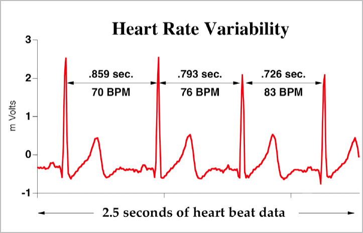 HRV Heart Rate Variability | Project inVictus HRV Heart Rate Variability | Project inVictus