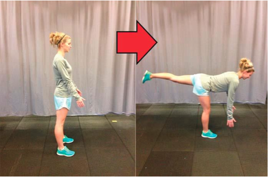 Squat : la guida completa.