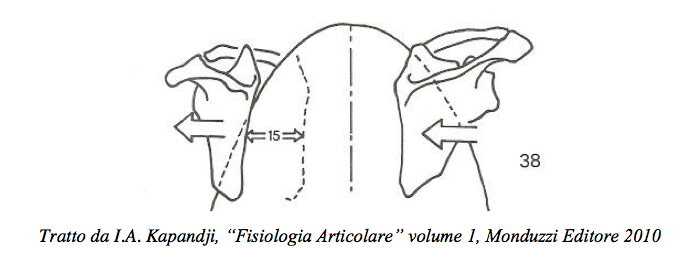 Pulley: Tutorial, esecuzione e anatomia | Project inVictus