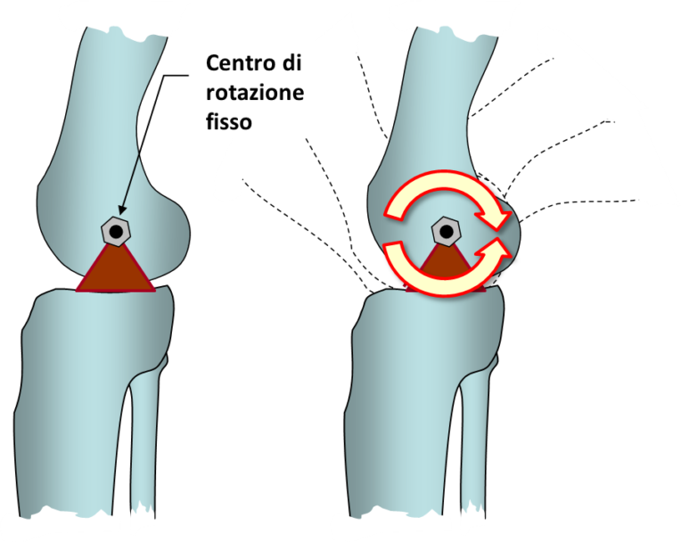 Il Ginocchio: legamenti, biomeccanica e test