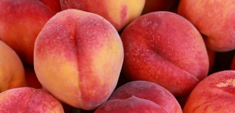 Pesche: tutte le proprietà e i benefici - Project inVictus