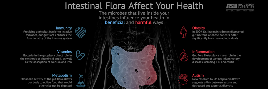 Microbioma umano: cos'è e perché è così importante per la salute ...