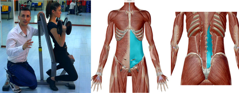 Distensioni con manubri sopra la testa: come farle correttamente ...