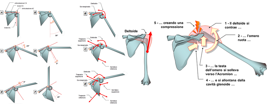 Tirate al Mento: verità, miti e leggende | Project inVictus