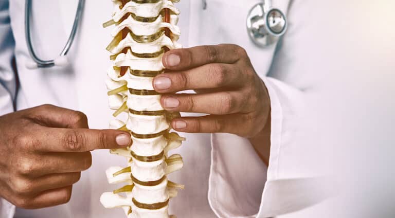 Rachide: cos’è e cosa comprende? | Project InVictus