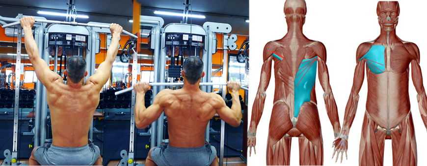 Lat machine presa stretta o larga? | Project inVictus
