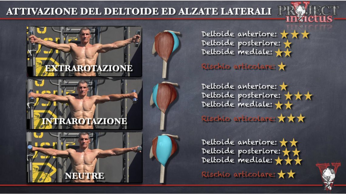 Muscolo deltoide: anatomia e funzioni - Project inVictus