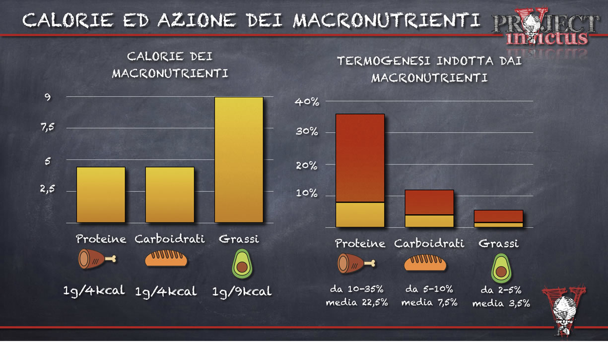 Macronutrienti nella dieta: cosa dobbiamo sapere | Project inVictus