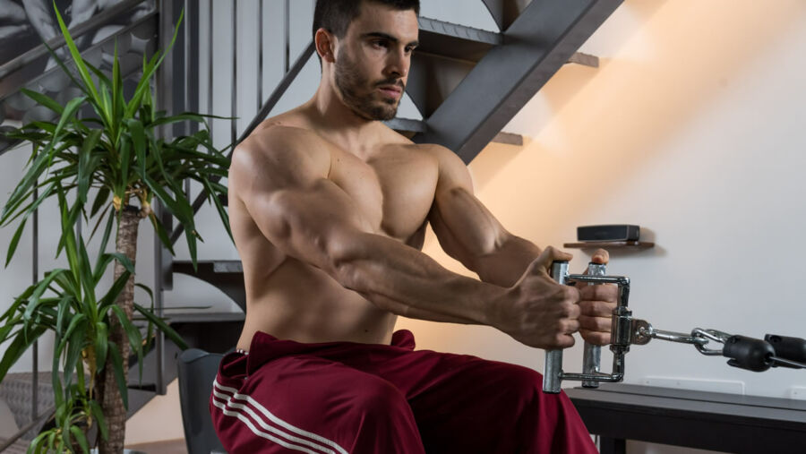 Stacchi rumeni: la guida completa - Project inVictus