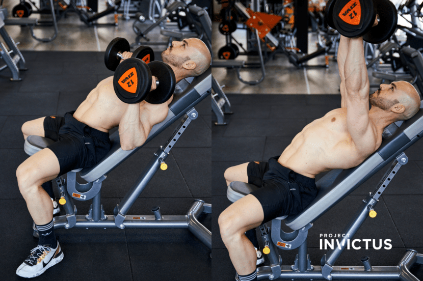 I MIGLIORI esercizi per i pettorali con manubri - Project inVictus