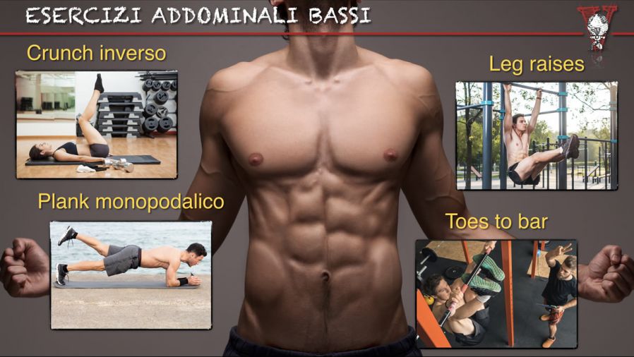 Addominali bassi: come allenarli con 4 esercizi efficaci - Project inVictus