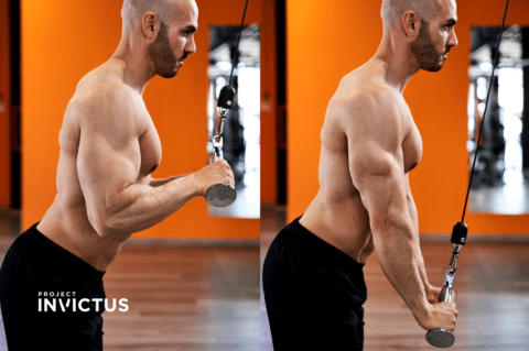 Push down: esecuzione e scheda di allenamento - Project inVictus