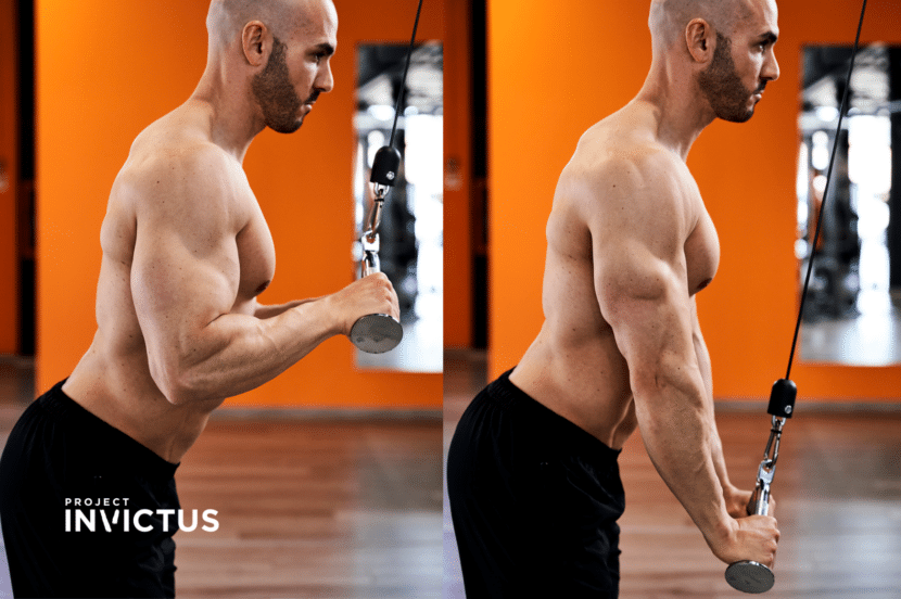 Esercizi tricipiti: i migliori esercizi per i tricipiti | Project inVictus