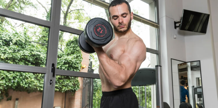 Muscolo Brachiale: anatomia, funzione ed esercizi - Project inVictus