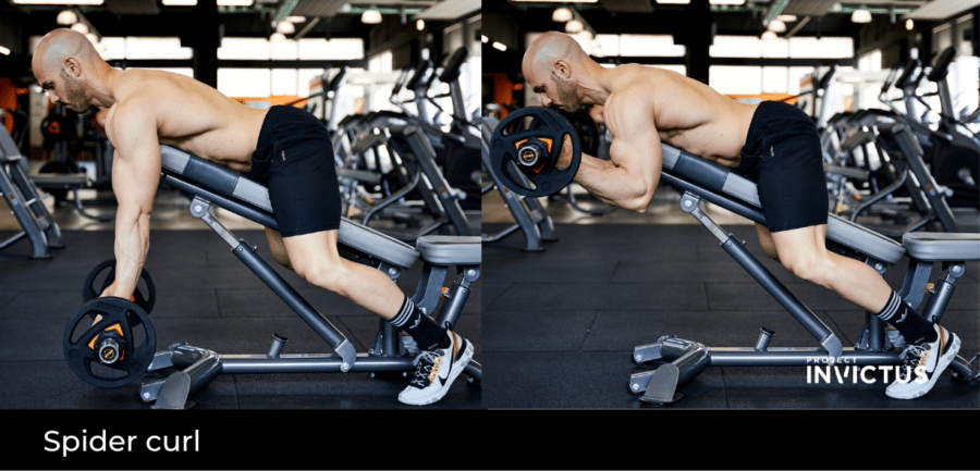 Come ingrossare le braccia - Project inVictus