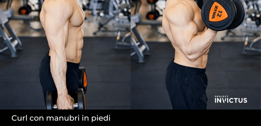 Come ingrossare le braccia - Project inVictus