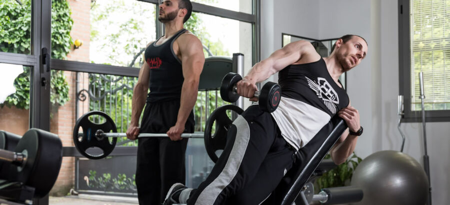 Esercizi spalle: la guida completa - Project inVictus