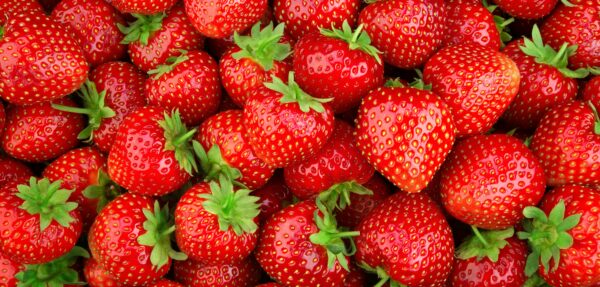 Fragole: tutte le proprietà e i benefici - Project inVictus