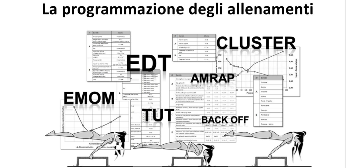 Project Calisthenics | Project inVictus
