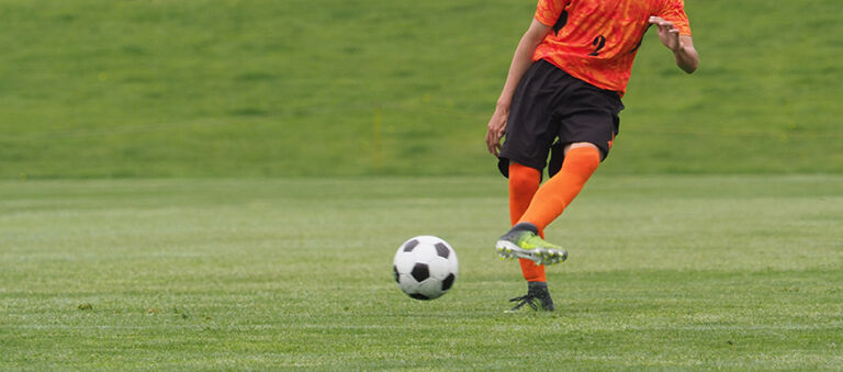 Adduttori: anatomia, funzione ed esercizi - Project inVictus