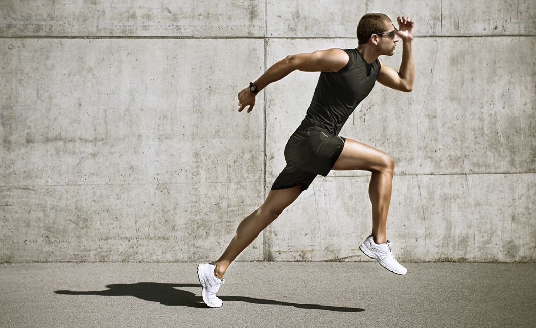 Adduttori: anatomia, funzione ed esercizi - Project inVictus