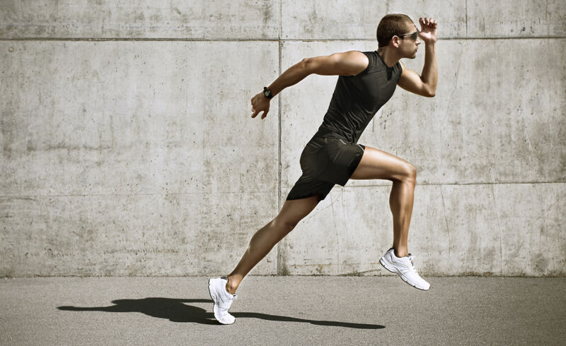 Adduttori: anatomia, funzione ed esercizi - Project inVictus