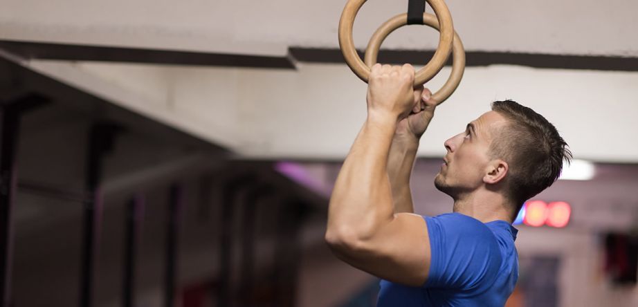 Tricipite: anatomia, funzione ed esercizi | Project inVictus