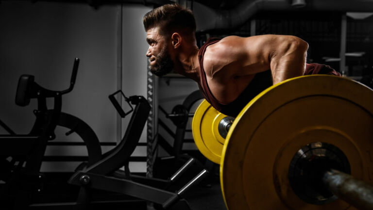 Scheda allenamento massa: come impostarla correttamente - Project inVictus