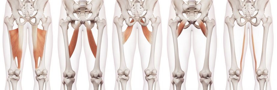 Stretching adduttori: come allungarli - Project inVictus