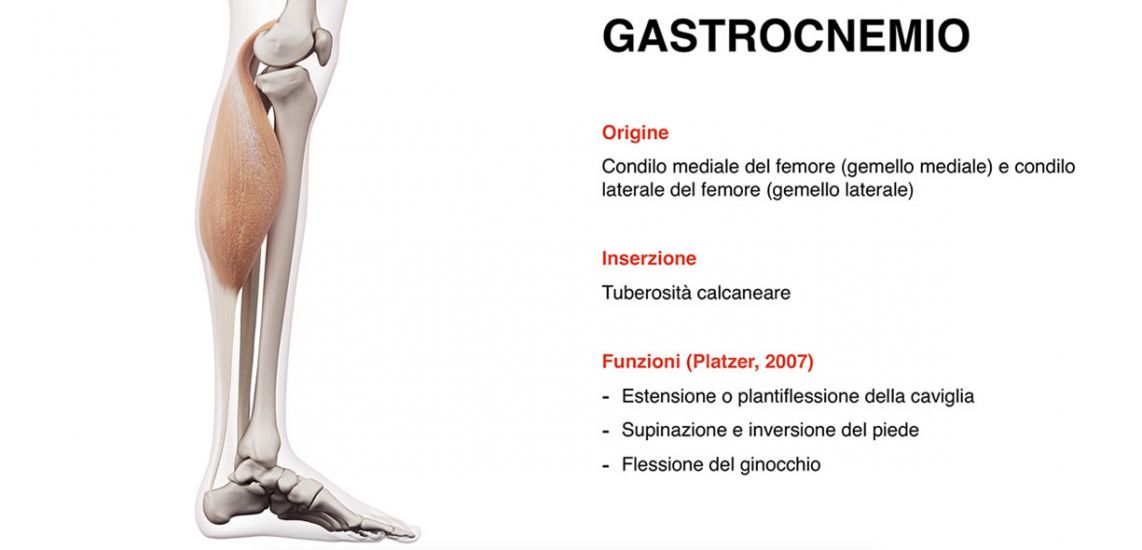 Stretching ischiocrurali / un esercizio senza compensi - Project inVictus