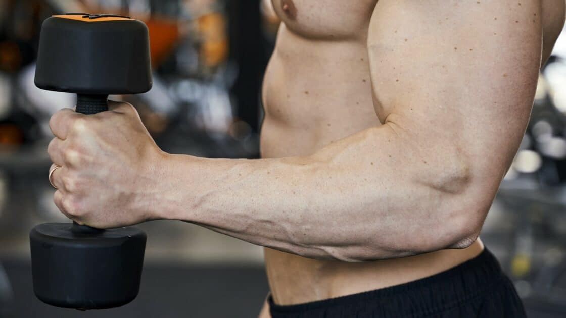 Curl a martello: come farlo e che muscoli allena - Project inVictus