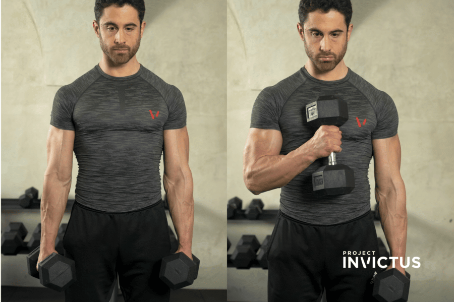 Curl a martello: come farlo e che muscoli allena - Project inVictus
