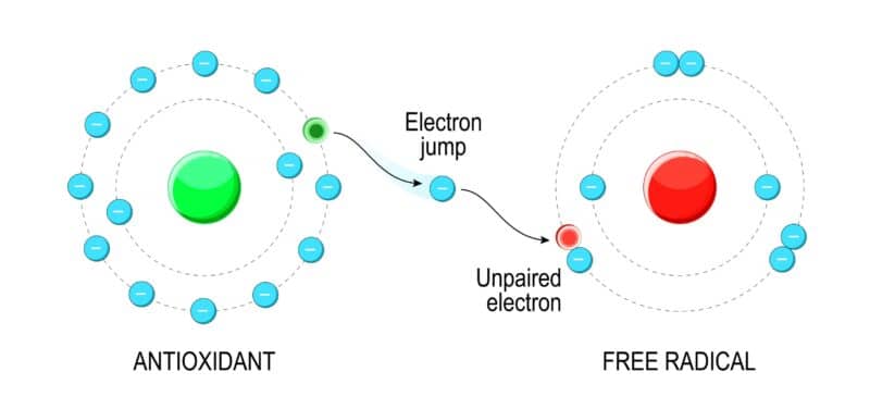 Radicali liberi: cosa sono e come ridurli? - Project inVictus