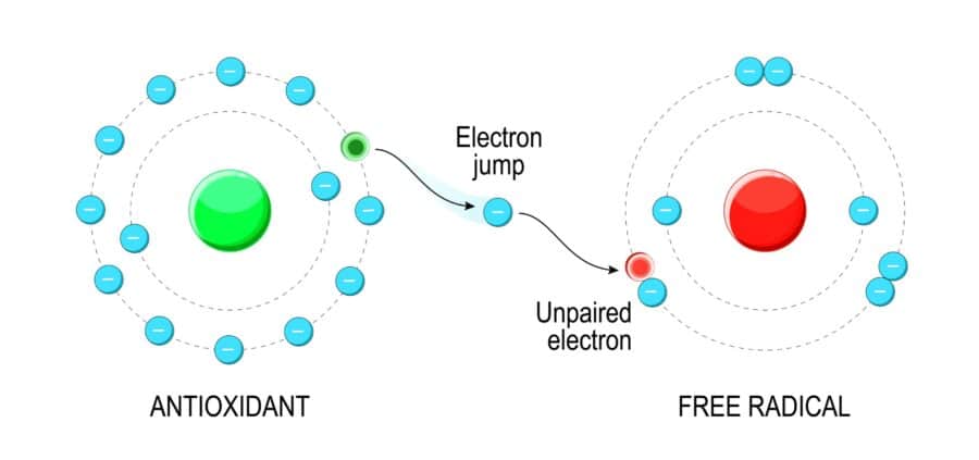 Radicali liberi: cosa sono e come ridurli? - Project inVictus