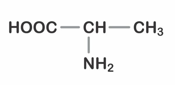 Beta alanina: benefici, effetti e dosaggi - Project inVictus