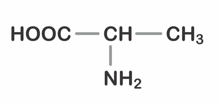 Beta alanina: benefici, effetti e dosaggi - Project inVictus