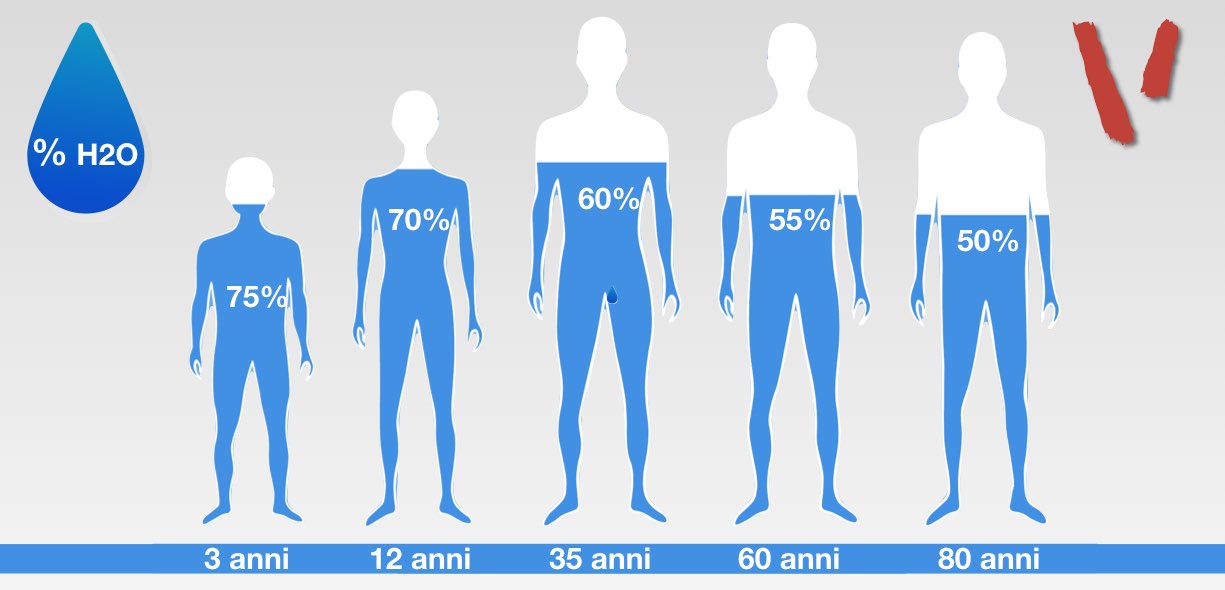 Bioimpedenziometria: cos'è e a cosa serve? | Project inVictus