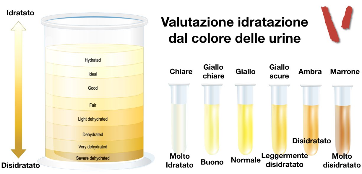 Bioimpedenziometria: cos'è e cosa calcola | Project inVictus