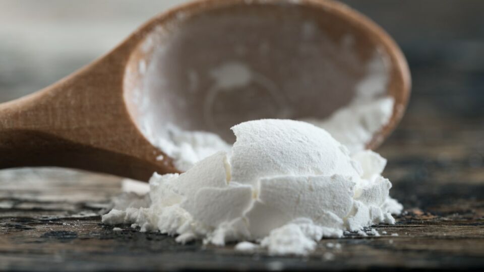 Amido: cos’è? Caratteristiche e proprietà - Project inVictus