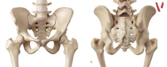 Il grande trocantere: anatomia e funzione - Project inVictus