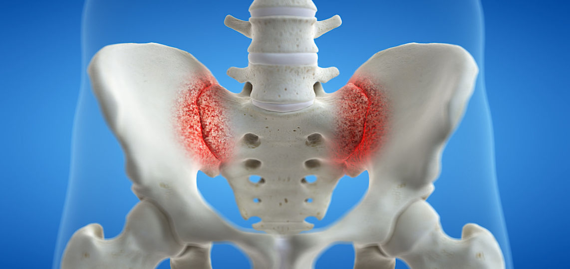 Bacino: anatomia e funzioni - Project inVictus